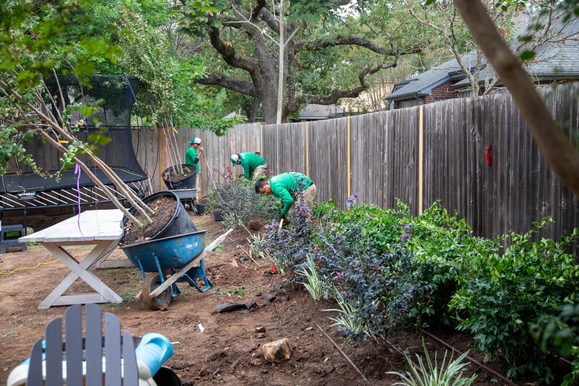 Check Out this Austin Backyard Makeover | Top Choice Lawn Care