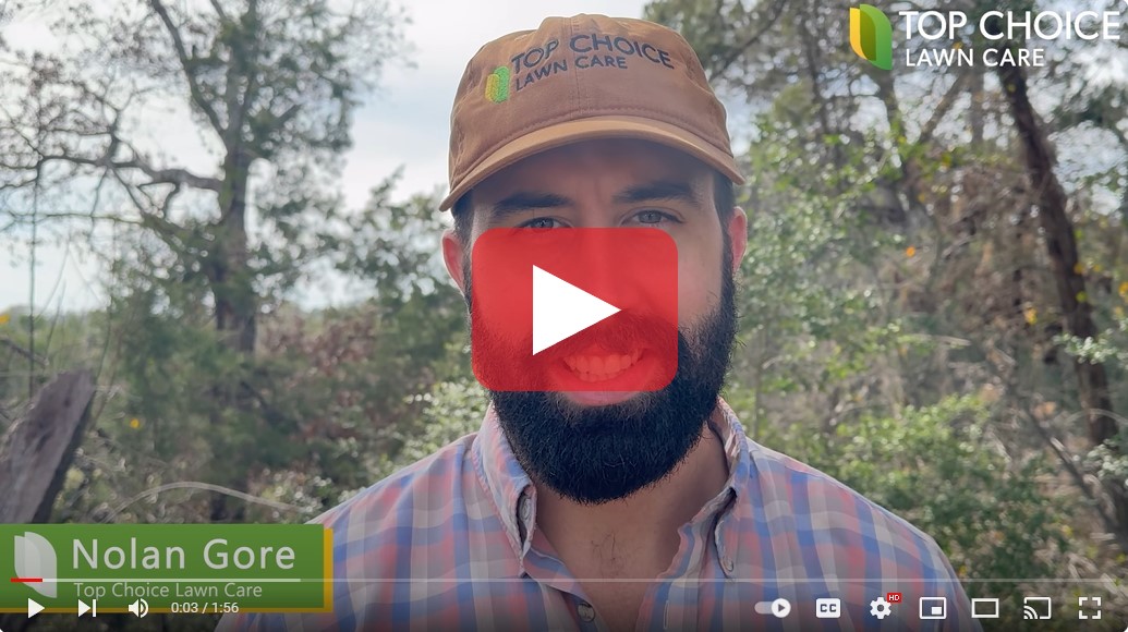 Weeding & Shrub Trimming - Beds Maintenance (Video) | Top Choice Lawn Care