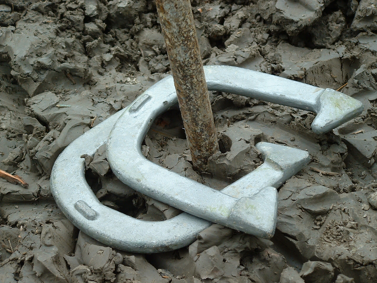 Washers and Horseshoes | Top Choice Lawn Care