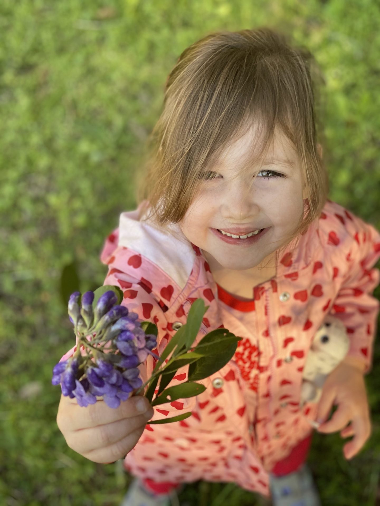 False Spring | Top Choice Lawn Care