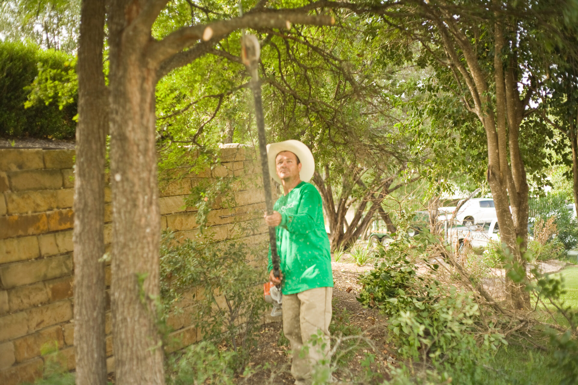 Oak Wilt Faq Top Choice Lawn Care