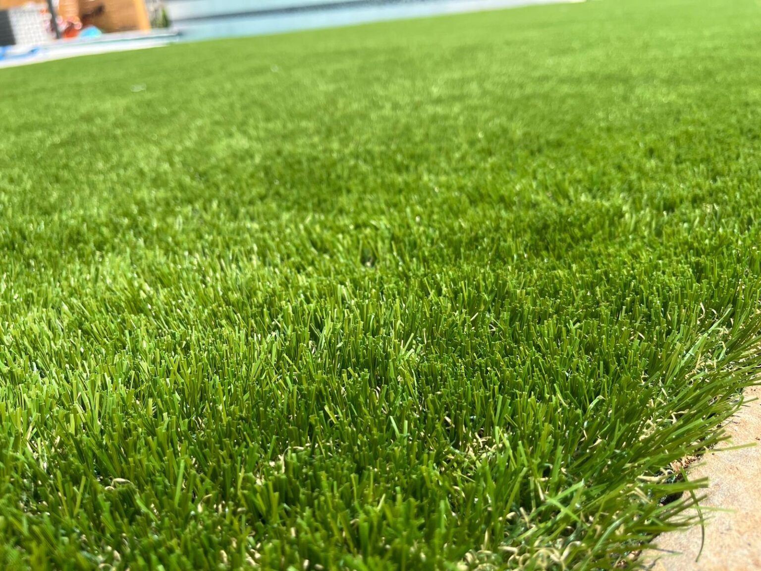 Everything you need to know about artificial turf (fake grass!) in ...