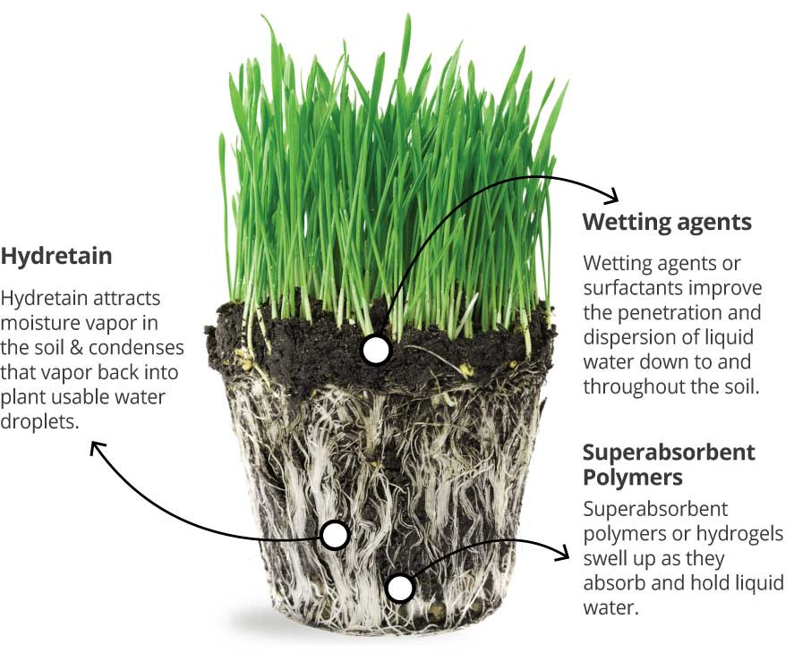How to retain water in your landscape | Top Choice Lawn Care